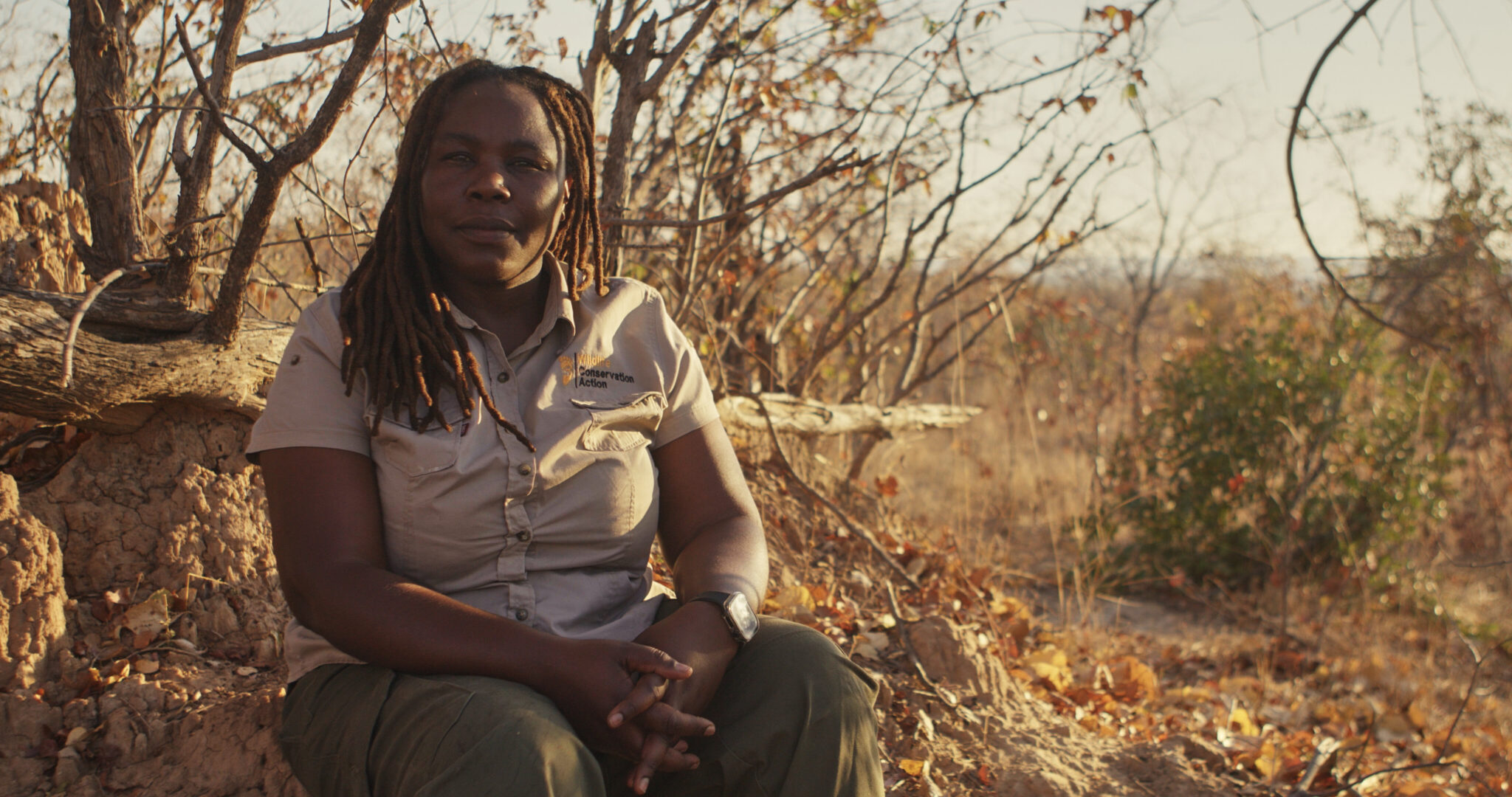 Defender Awards Shortlist Revealed: From Saving Endangered Bears to ...